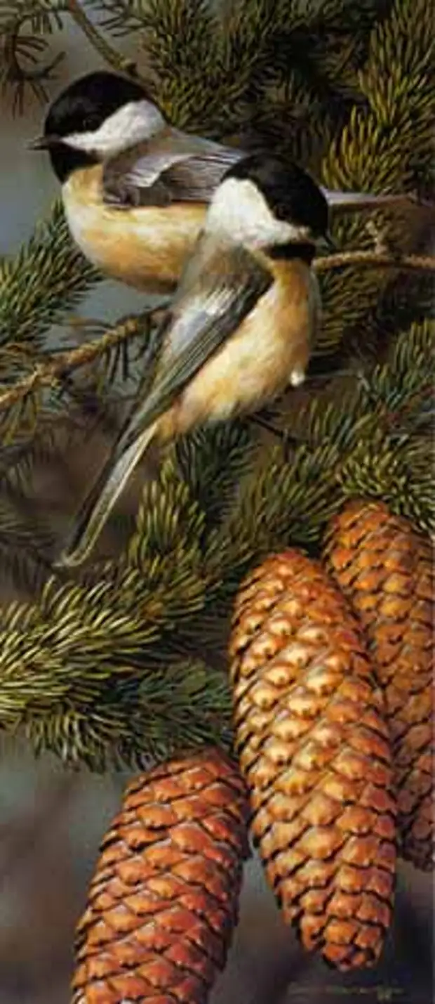 Художники-анималисты Carl Brenders, Friedrich Hechelmann, Susan Labouri ...