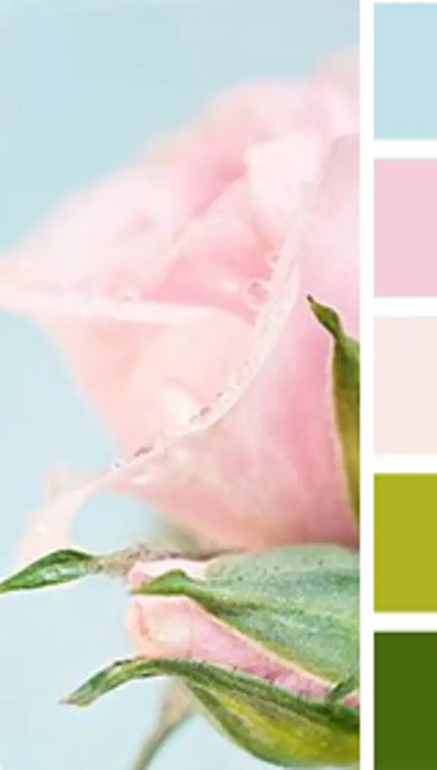 Королевский розовый цвет 2016 — какие цвета сочетаются с розовым, с чем ...